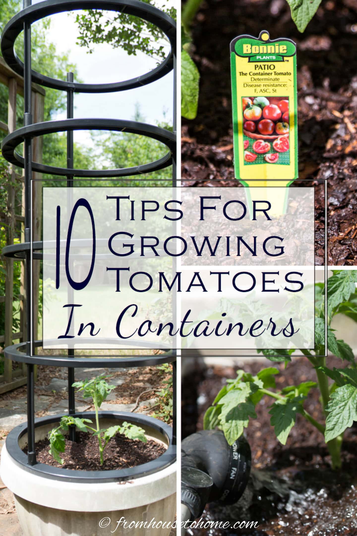11 Tips For Growing Tomatoes In Containers
