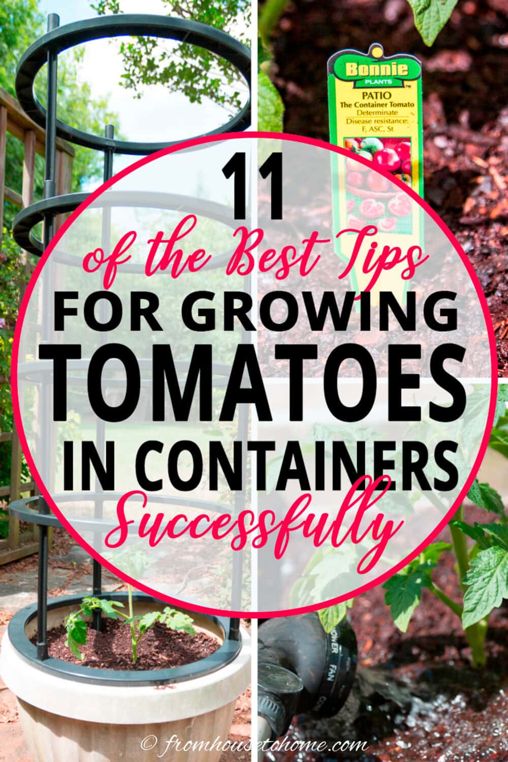 11 Tips For Growing Tomatoes In Containers