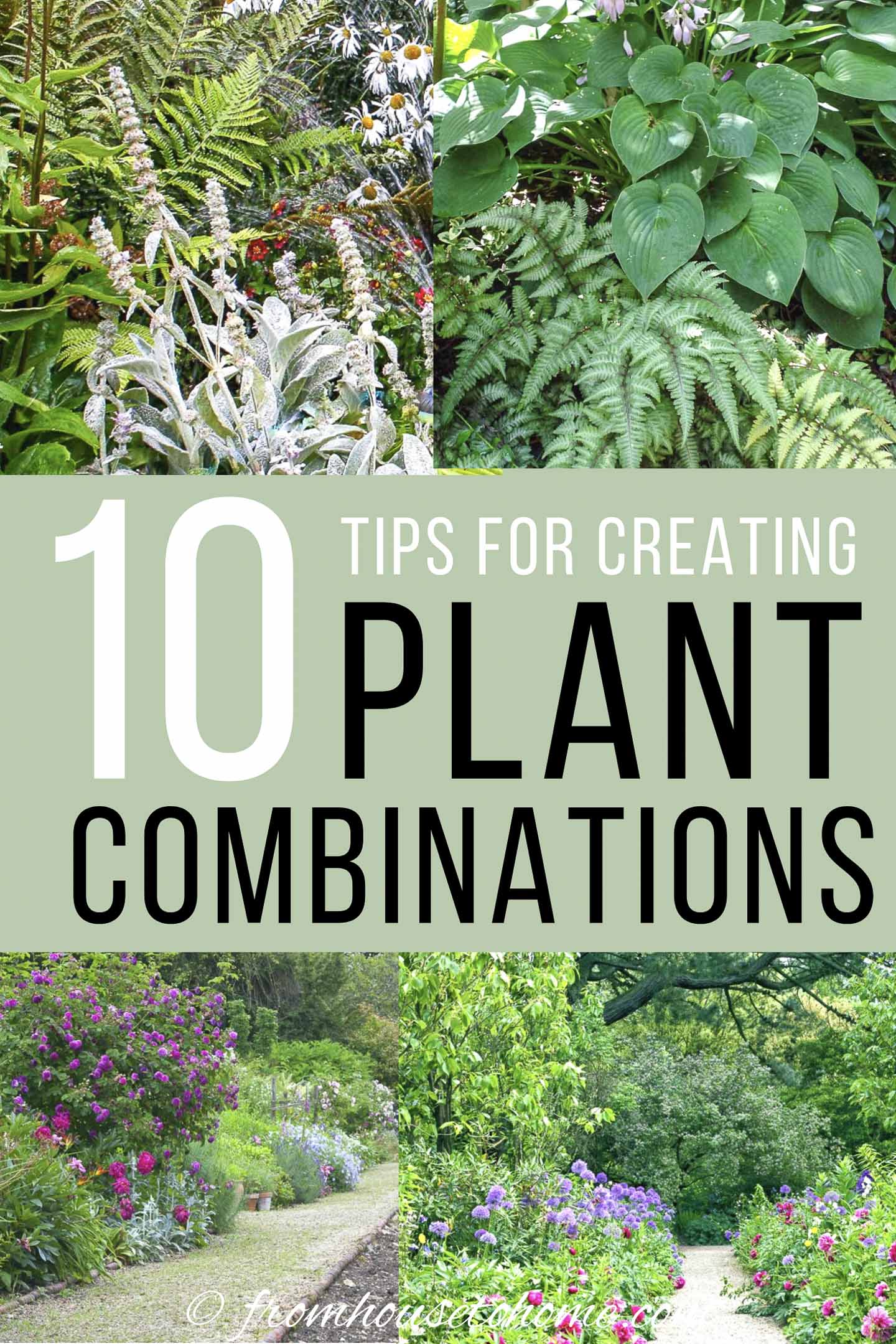 Plant Combinations: 10 Tips For Creating Flower Combinations That Work